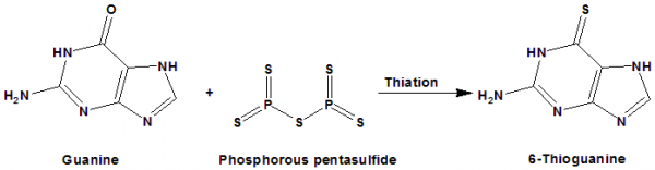 6-THIOGUANINE Synthesis, SAR, MCQ,Chemical Structure and Therapeutic ...