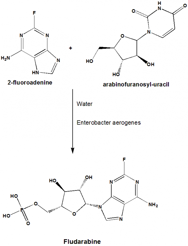 FLUDARABINE Synthesis, SAR, MCQ,Structure and Therapeutic Uses ...