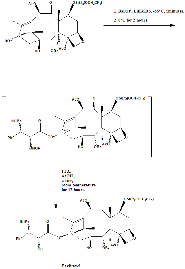 PACLITAXEL Synthesis, SAR, MCQ,Structure,Chemical Properties and ...
