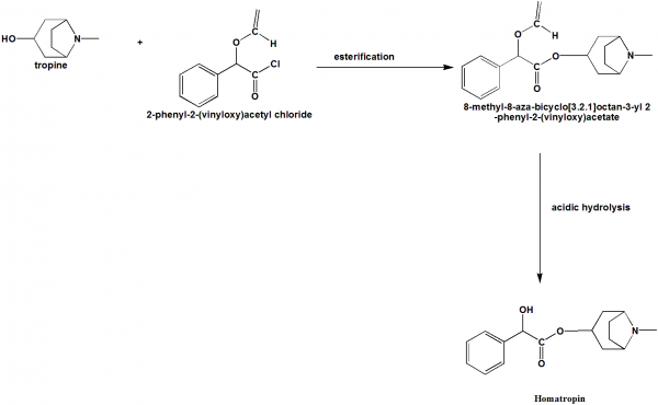 HOMATROPIN (HYOSCINE) Synthesis, SAR, MCQ,Structure,Chemical Properties ...