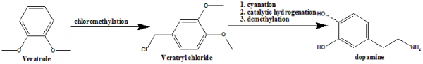 DOPAMINE Synthesis, SAR, MCQ,Structure,Chemical Properties and ...