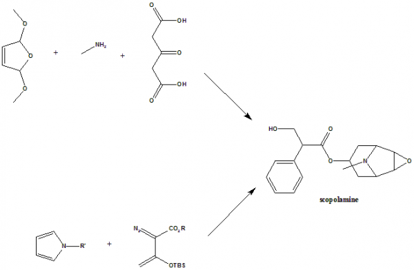 SCOPOLAMINE (HYOSCINE) Synthesis, SAR, MCQ,Structure,Chemical ...