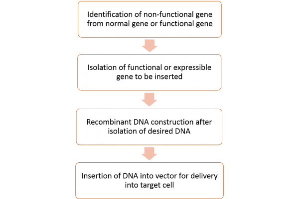 Gene-Therapy: Concept, Gene Delivery Systems, and Applications and MCQ ...