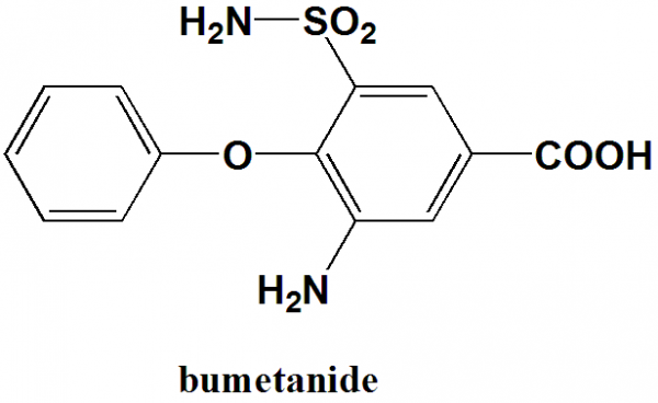 BUMETANIDE Synthesis, SAR, MCQ,Structure,Chemical Properties and ...
